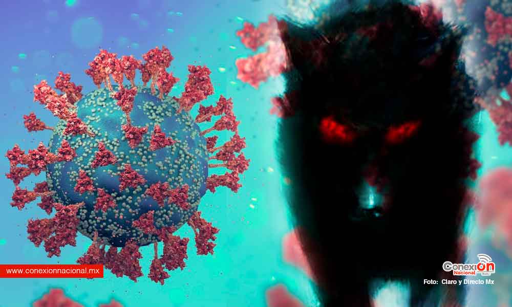 Variante “perro del infierno” de COVID-19 predominará en el mes de ...